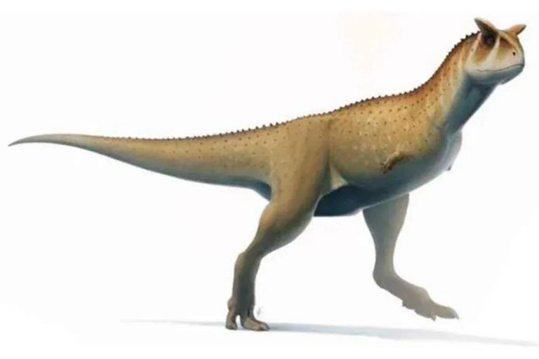 Güemesia, el dinosaurio carnívoro que habitaba en Salta | Todo el Día